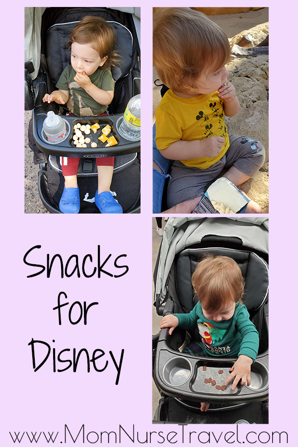 Snacks for Disney World - MomNurseTravel